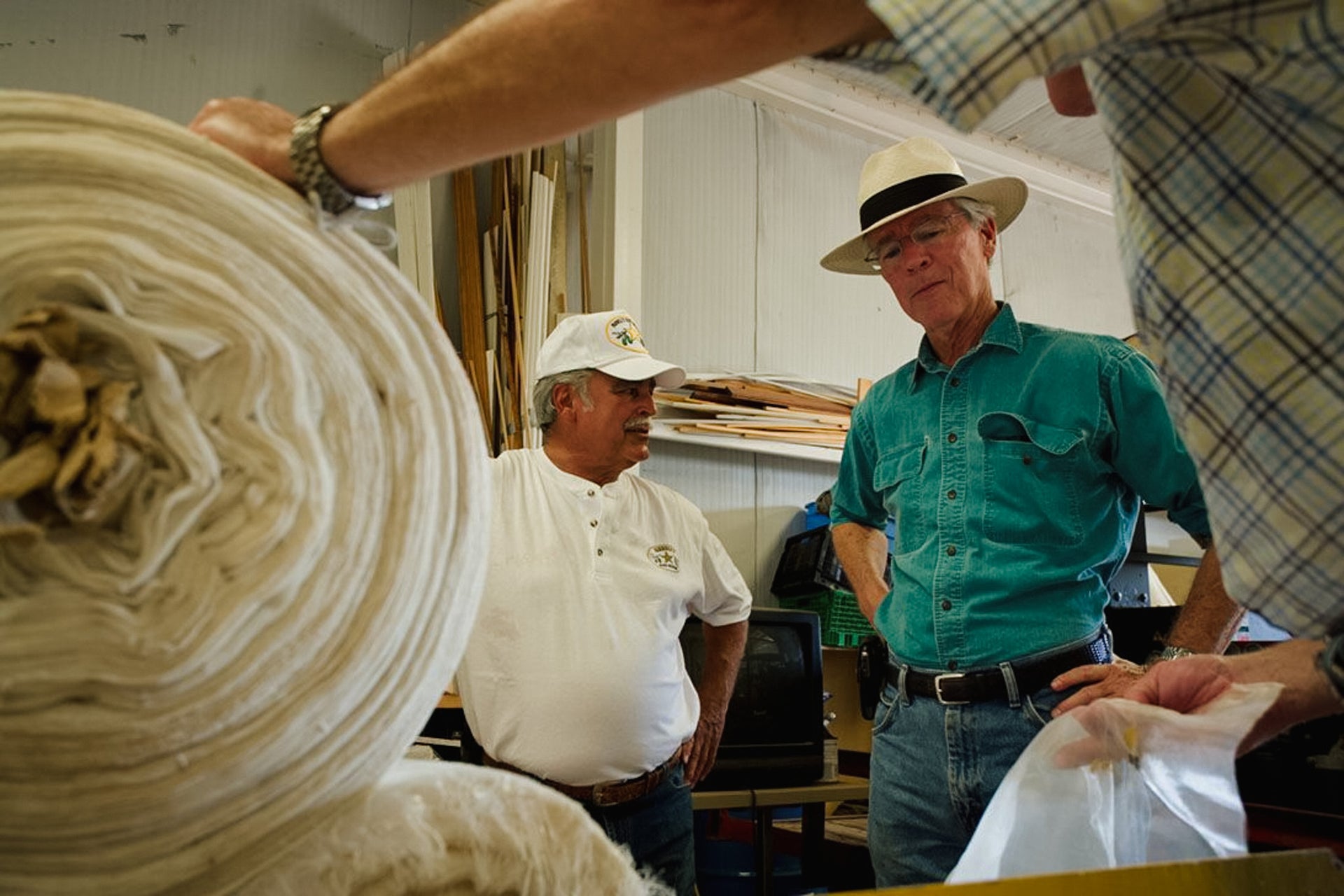 About Texas Olive Ranch