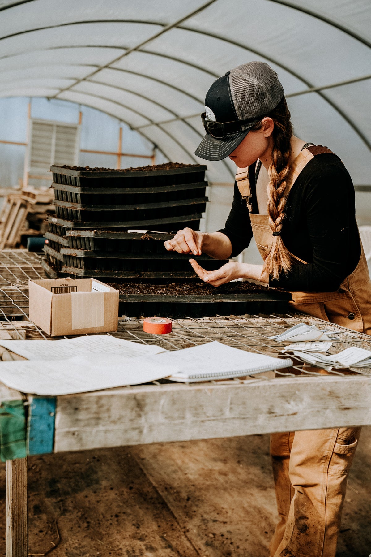 Ranch News – Texas Olive Ranch